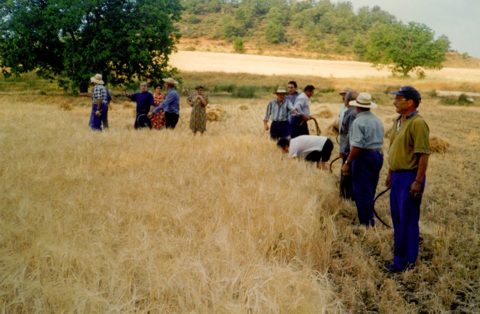 LA SIEGA | MUSEO VIRTUAL