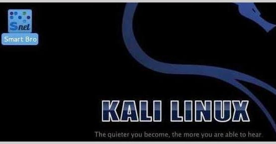 A programming guide: Enabling Broadband Internet Connection on Kali Linux