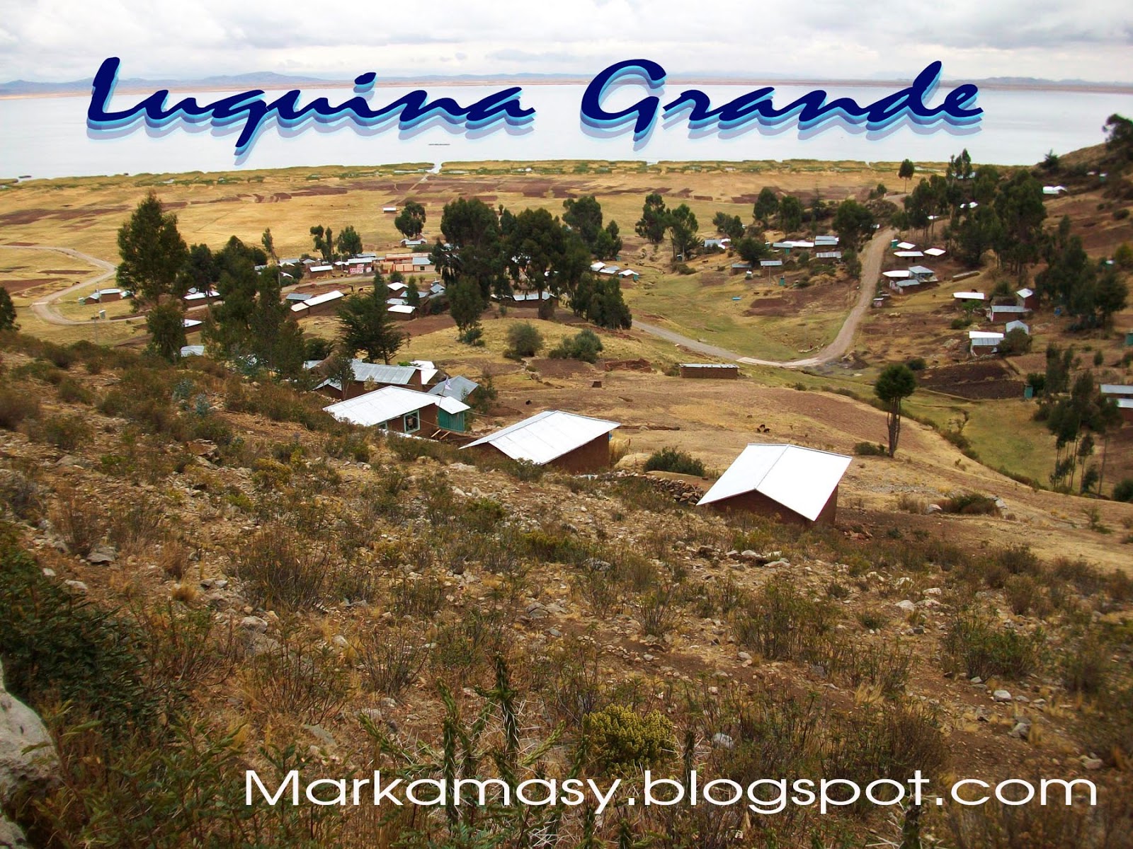 Markamasy.blogspot.com: LUQUINA GRANDE PUNO PERÚ