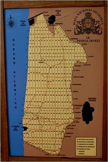 Mata Nacional de Leiria/Pinhal do Rei