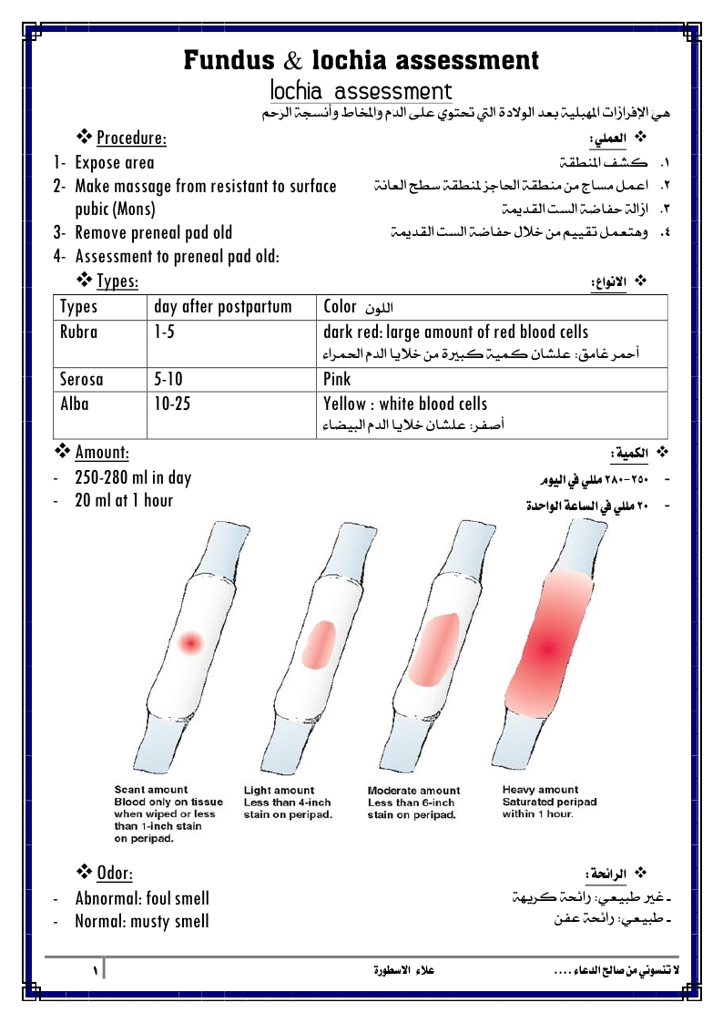 Fundus and lochia assessment Fundus and lochia assessment