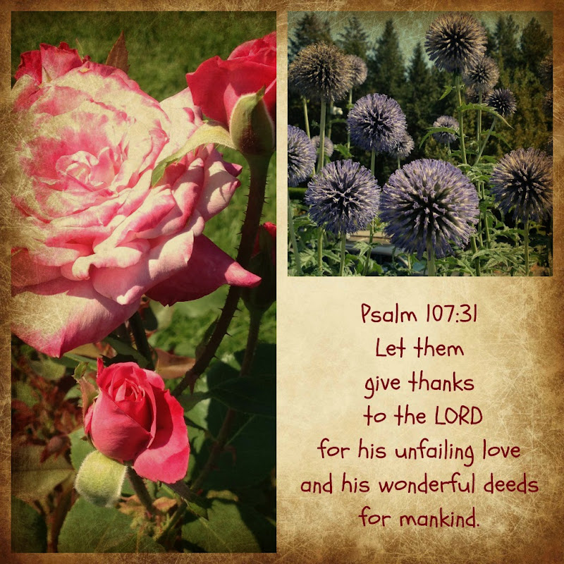 A Devotional Mosaic: Roses and Thistles