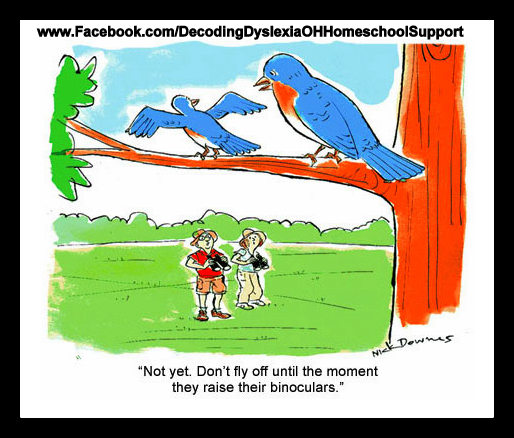 The Dragonfly Forest: Fun Spring Cartoons - Cartoon Saturday!