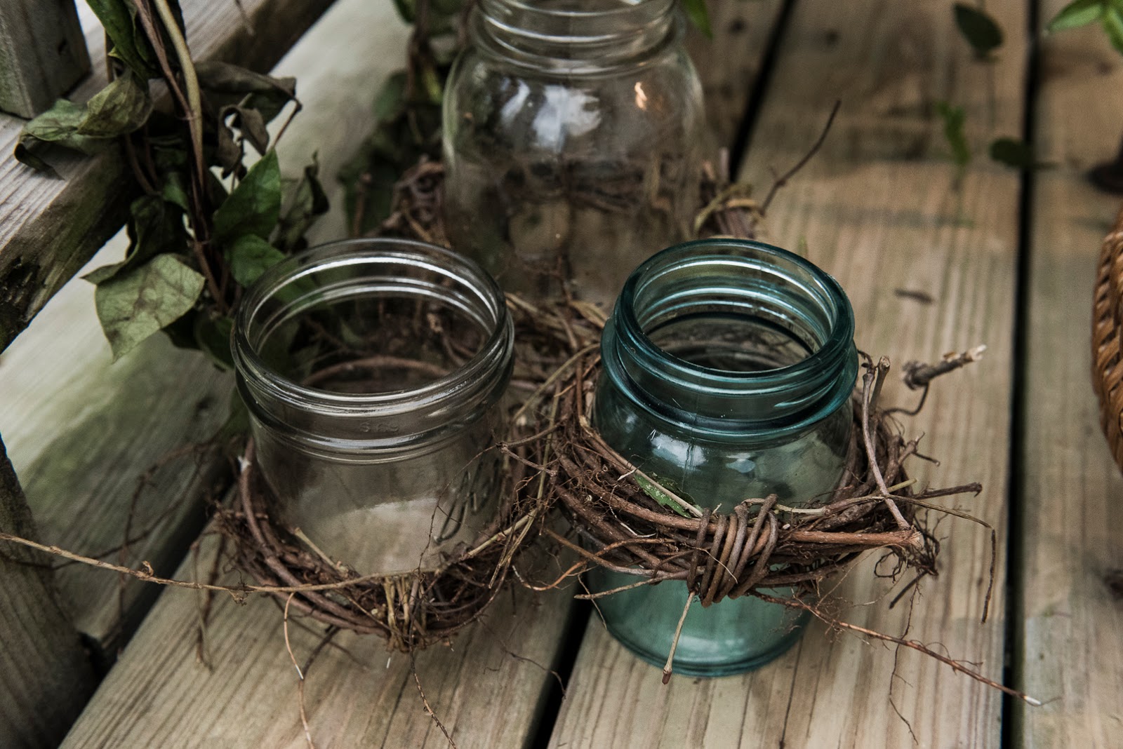 Vine Wraps - Jill Ruth & Co.