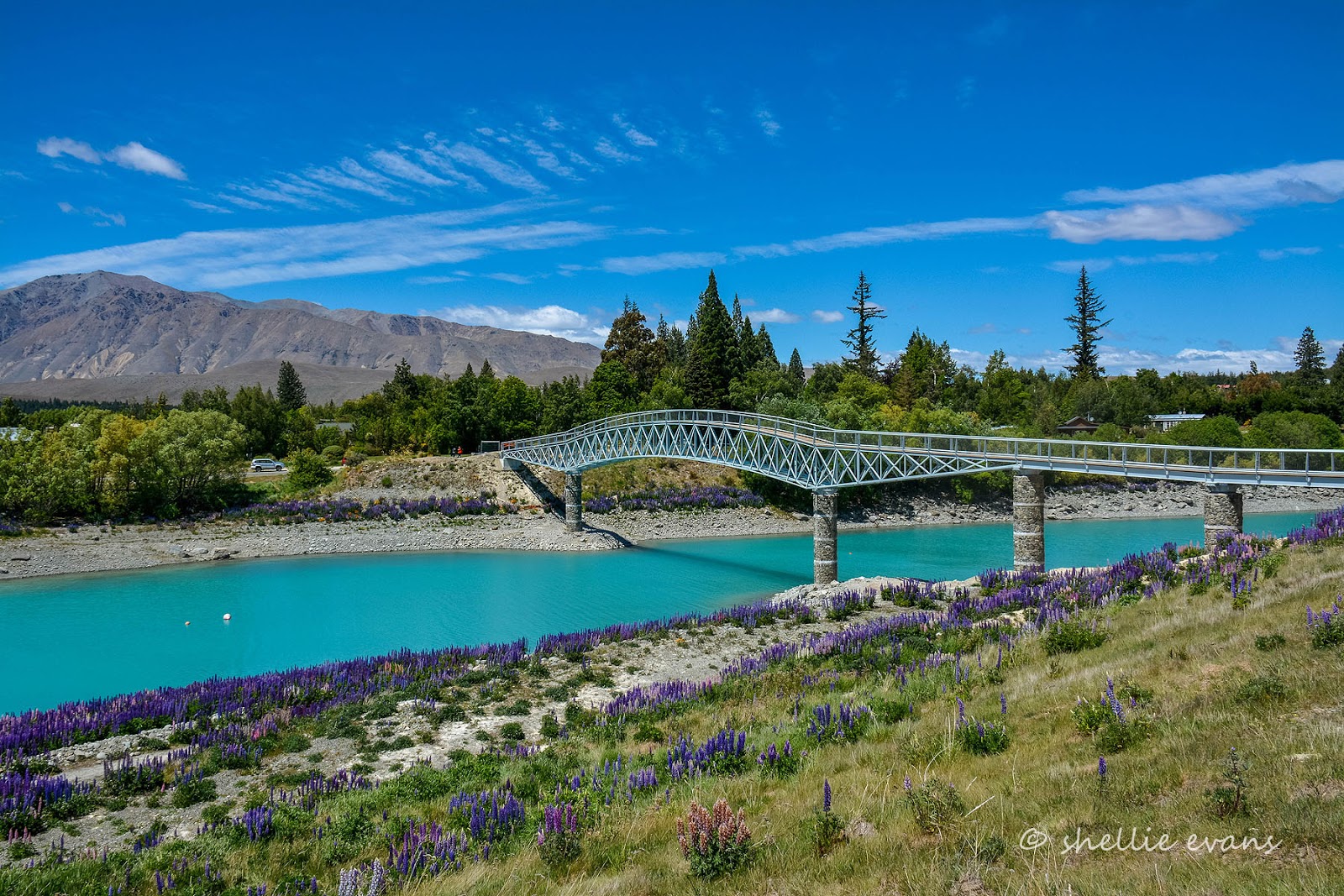 Two Go Tiki Touring: A Surprise Opening- Tekapo