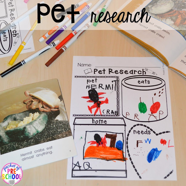 Pet Themed Activities and Centers - Pocket of Preschool