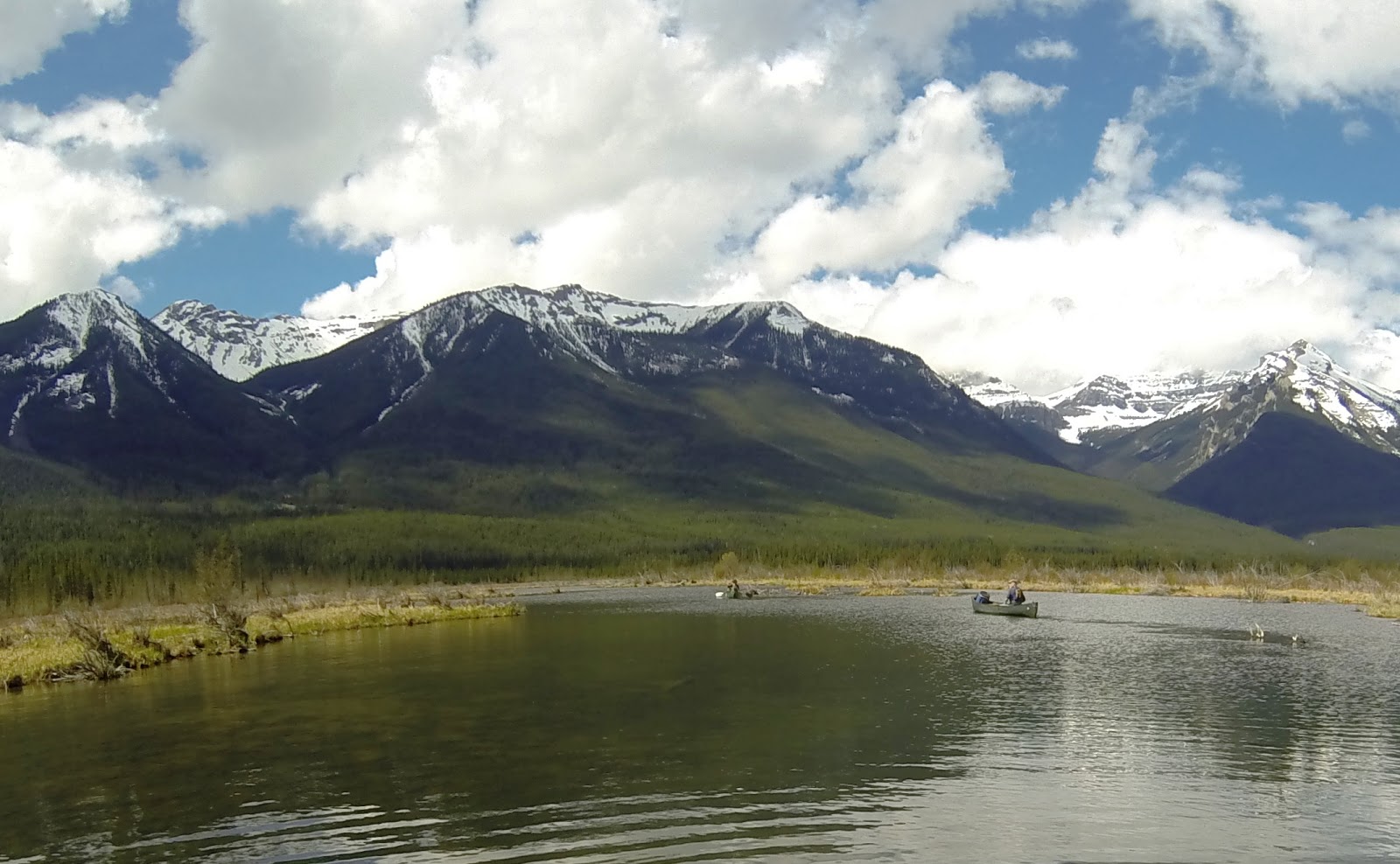 Revlo: From Amsterdam to Back Swamp in Banff National Park