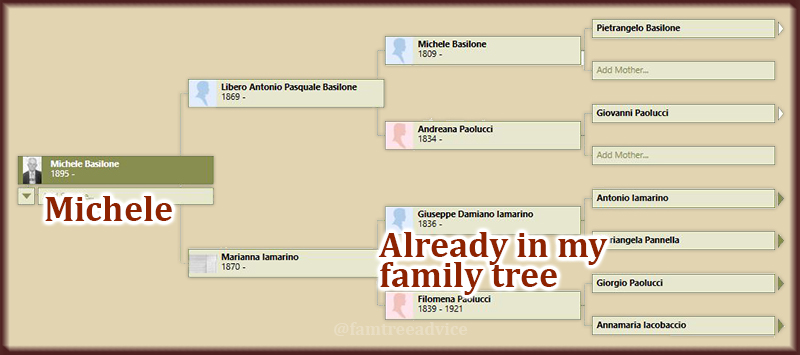 Fortify Your Family Tree: How to Make the Most of an Intriguing ...