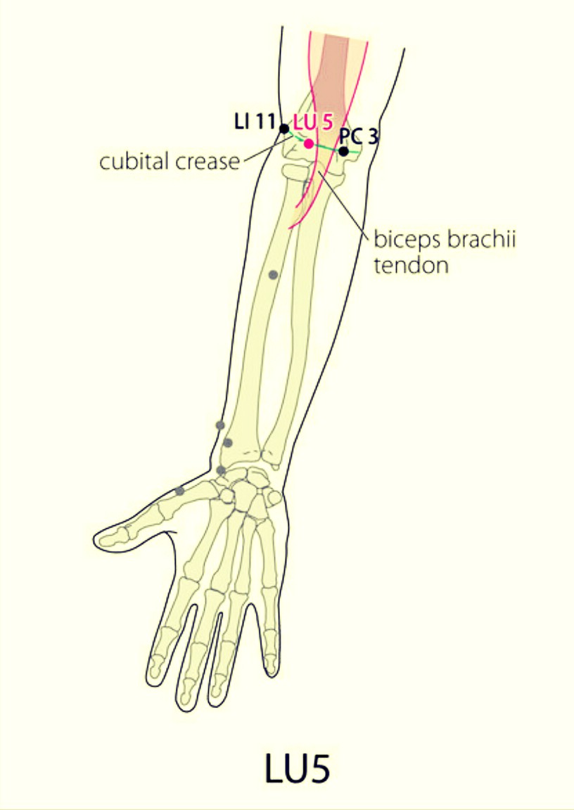SaroEpic Acupuncture : 2015