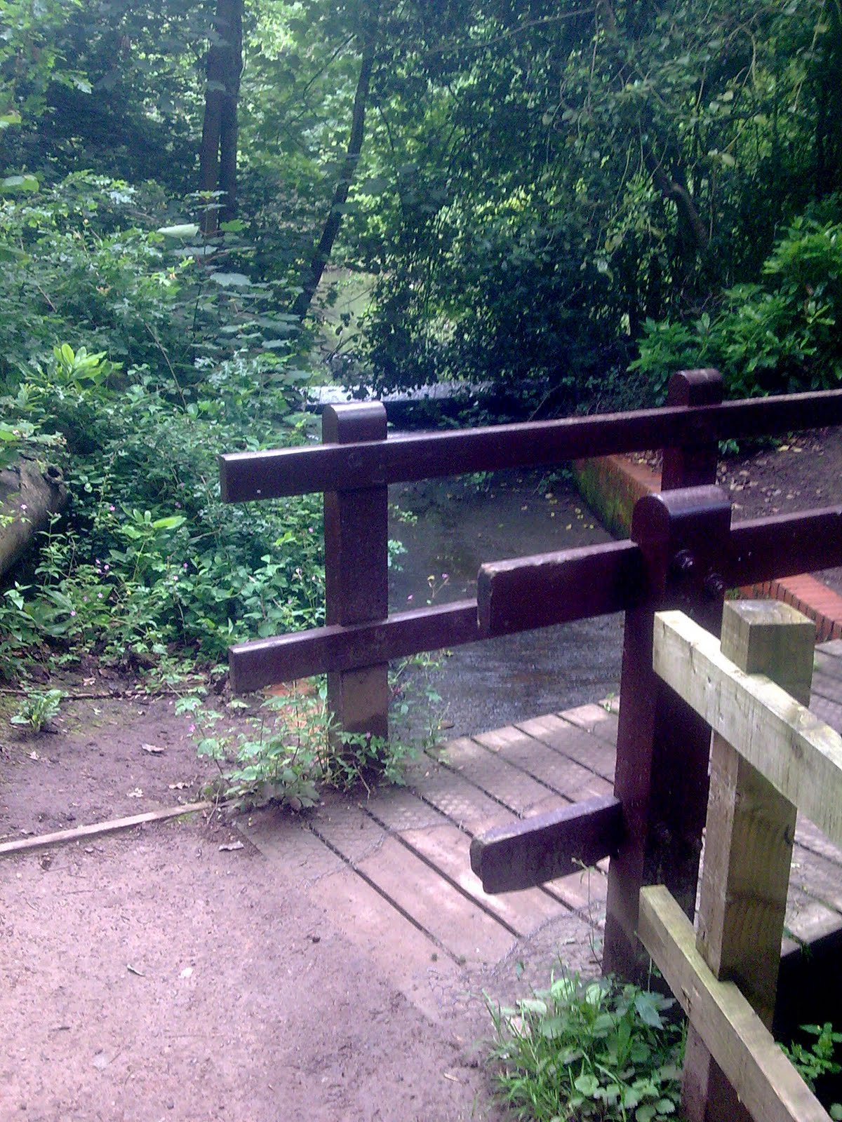 "ook?!": walk, Lymm Dam