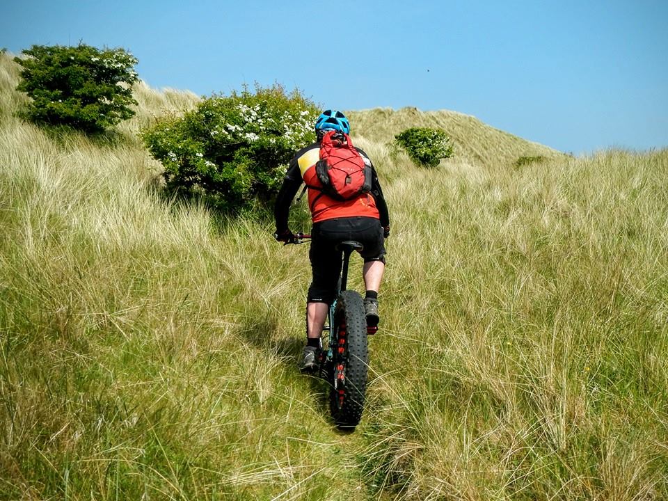 coastrider: Surly Wednesday update...