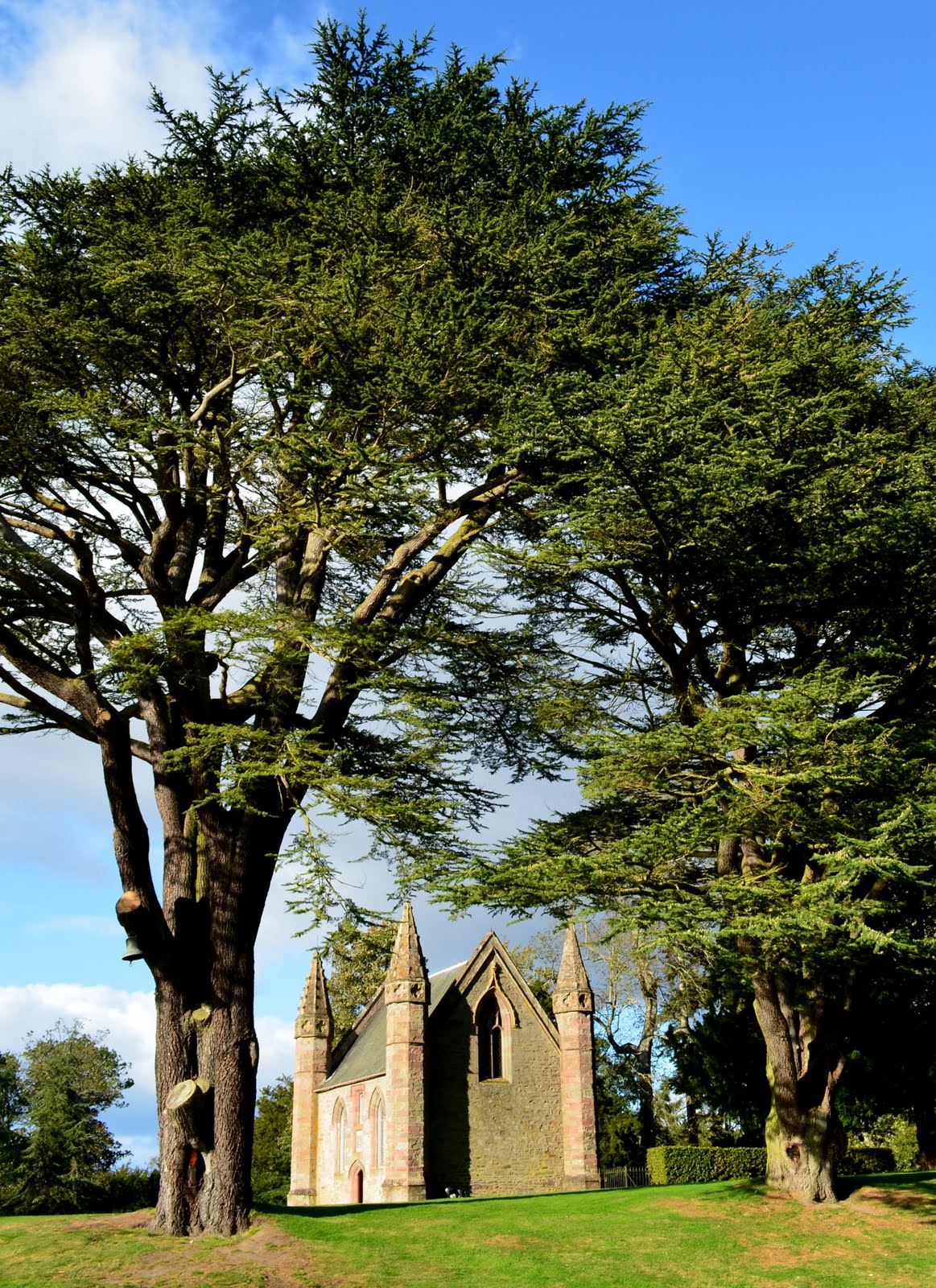 Tour Scotland: Tour Scotland Photographs Trees Scone Palace Perthshire ...