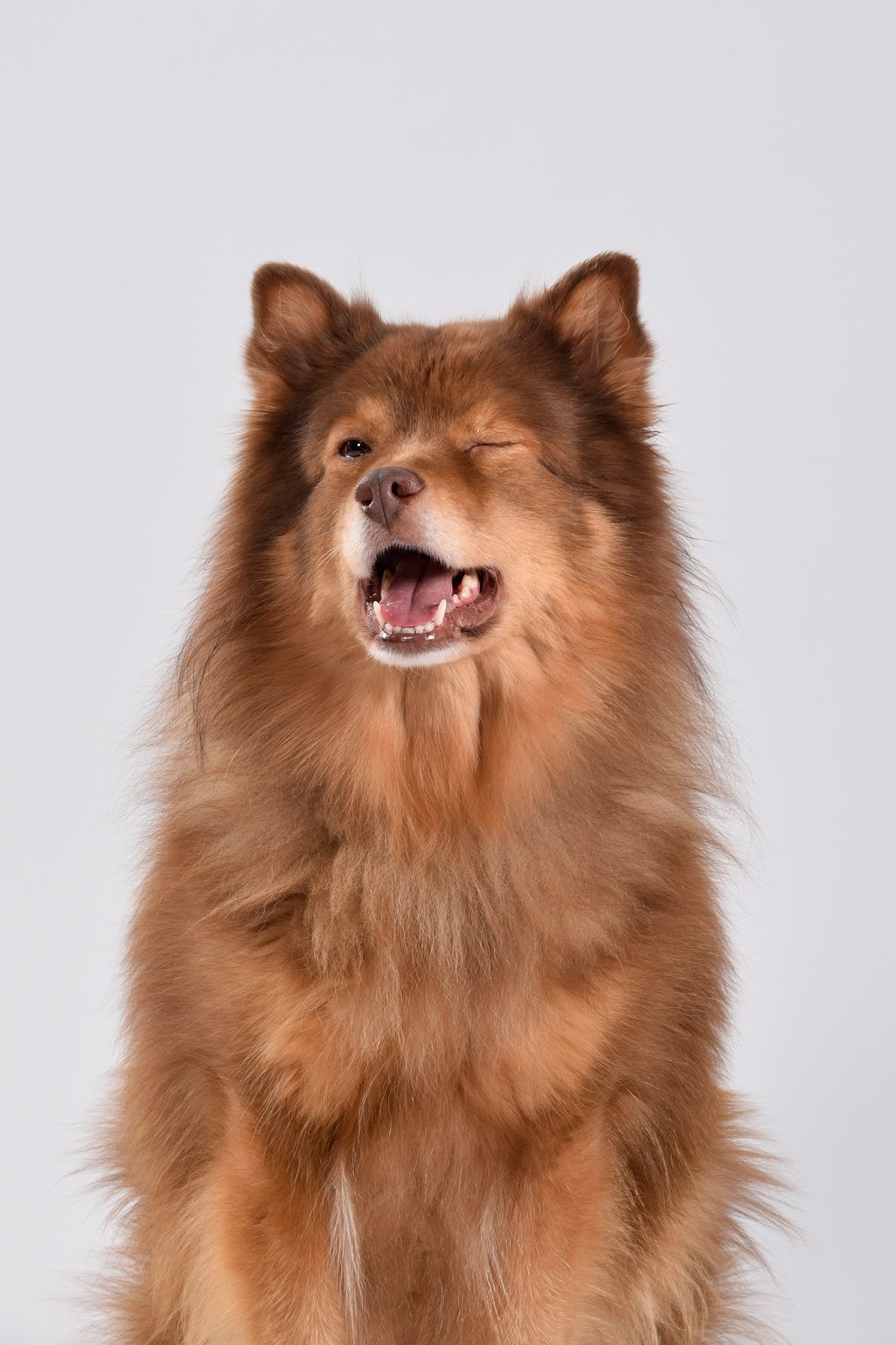 Luonnonlapsi: Huhuu?