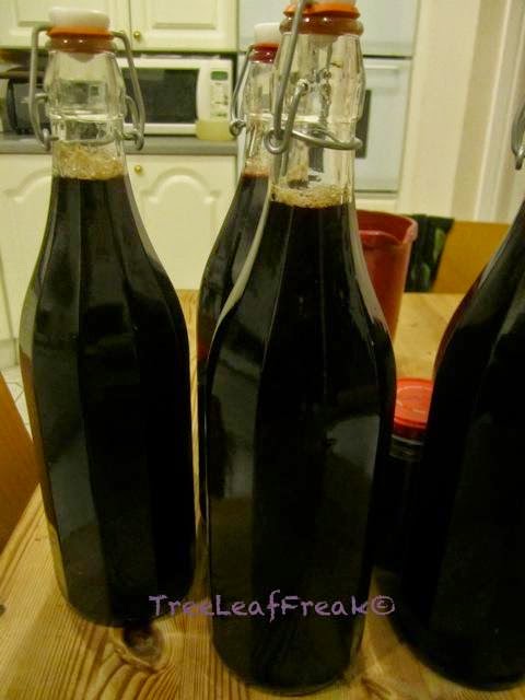 Tree Leaf Freak: Making Berry sirup, or Jelly?!