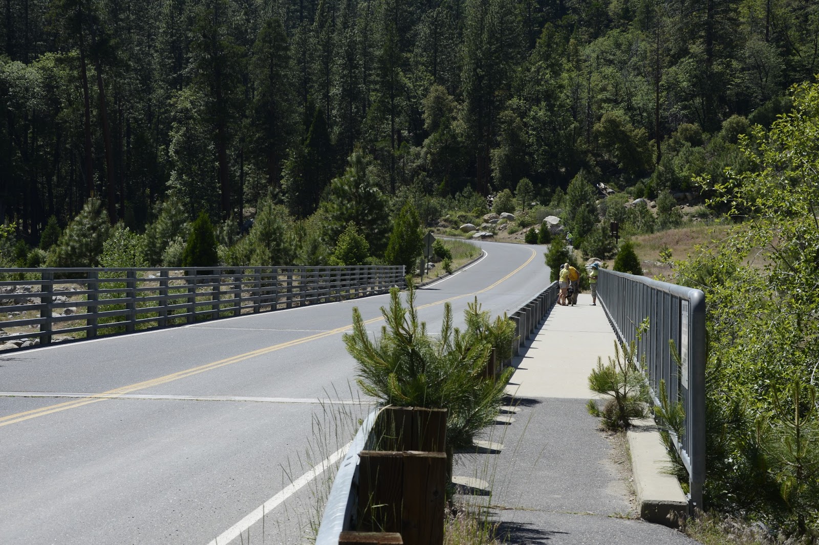 Bridge of the Week: Calaveras County, California Bridges: Sourgrass ...