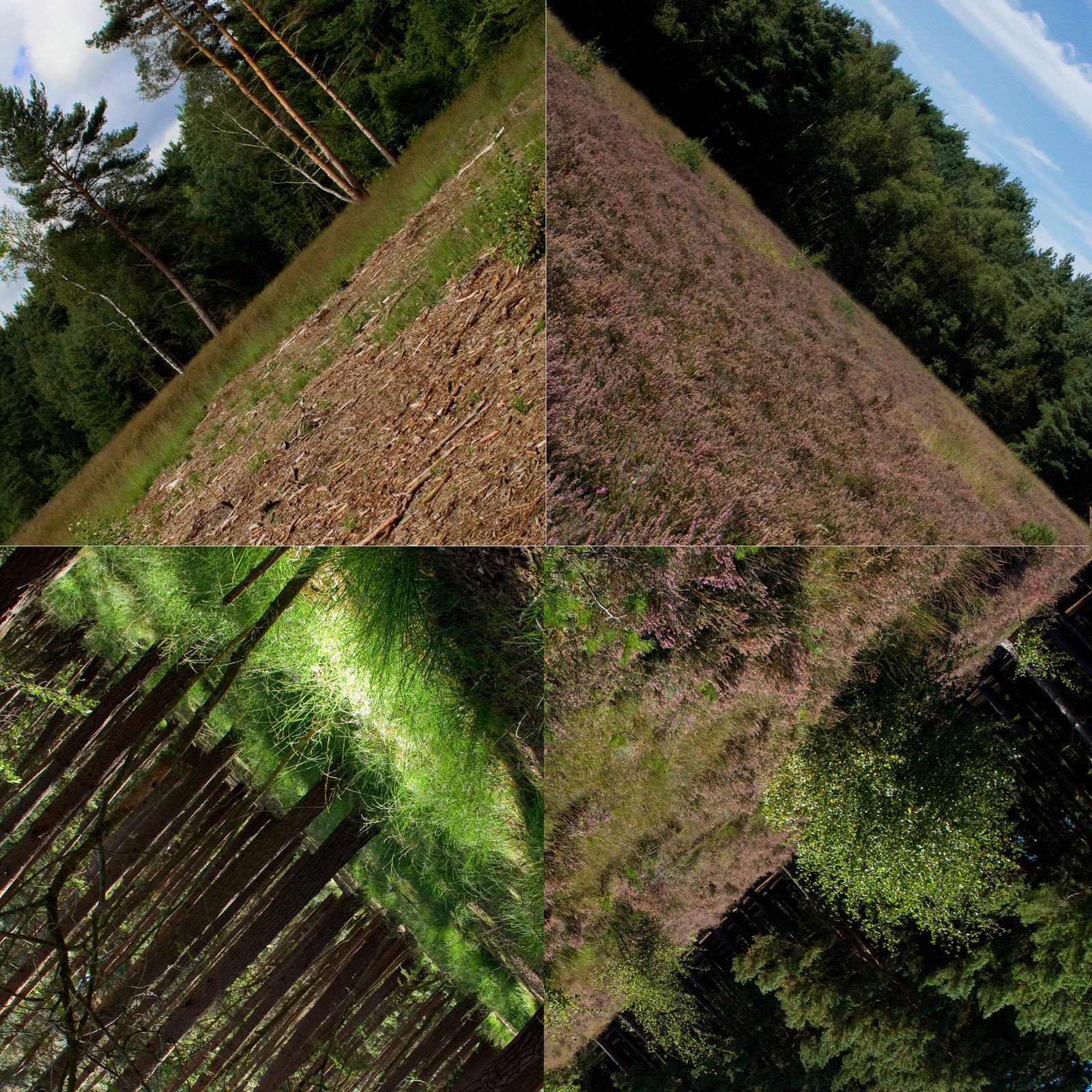 Elaine de Vries Photography: Doug Aitken Inspired