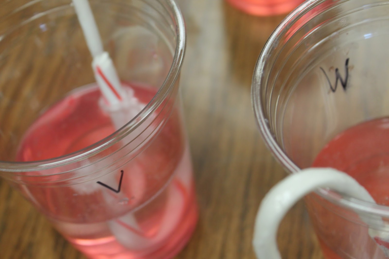 Candy Cane STEAM! | First Grade Wow | Bloglovin’
