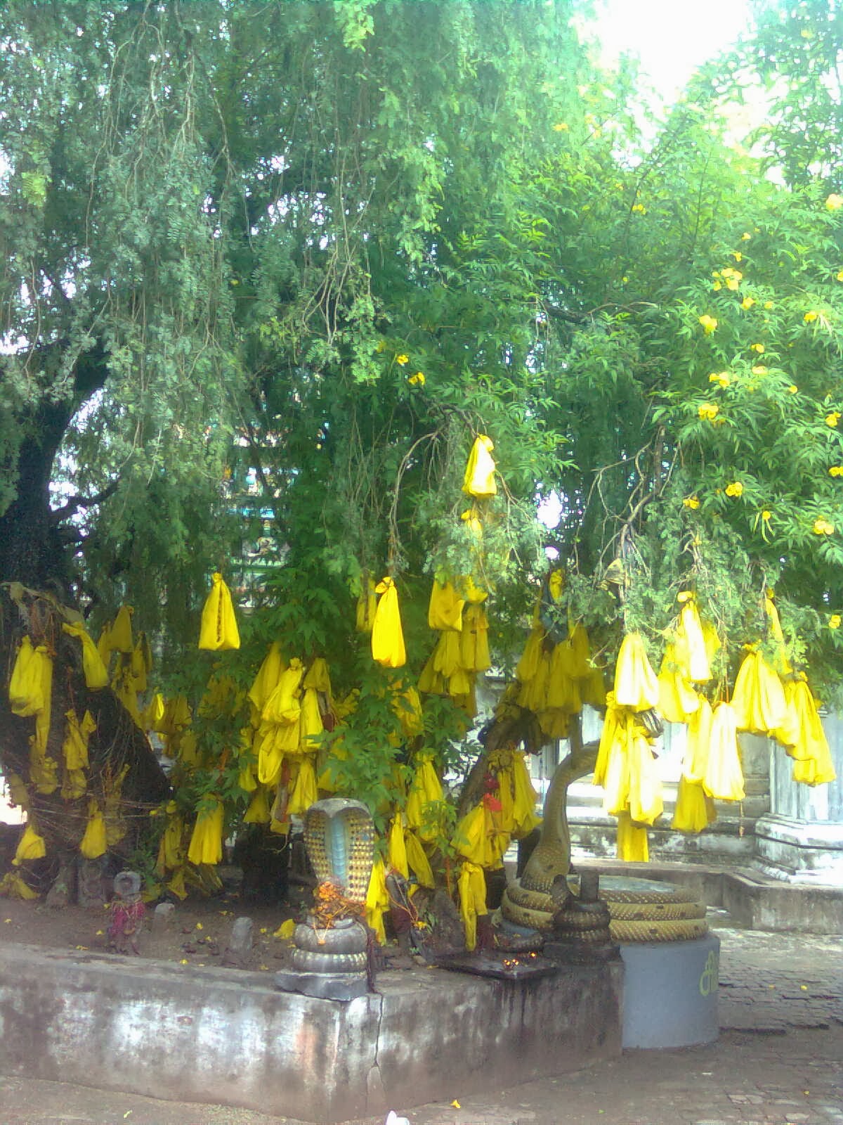 Sacred Places of India: Taliparamba Rajarajeshwara temple, Kannur, Kerala