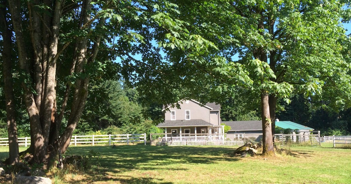 Little Farmstead: Our Farmhouse