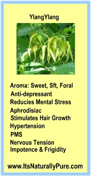 Naturalism - the Eighth Sense: Ilang-ilang - most popular perfume ...