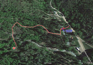 The Ririe Family: Summer Camping