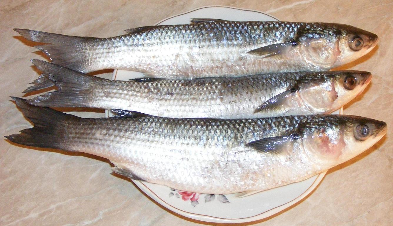 Chefal la cuptor | Retete Culinare Preparatedevis.ro