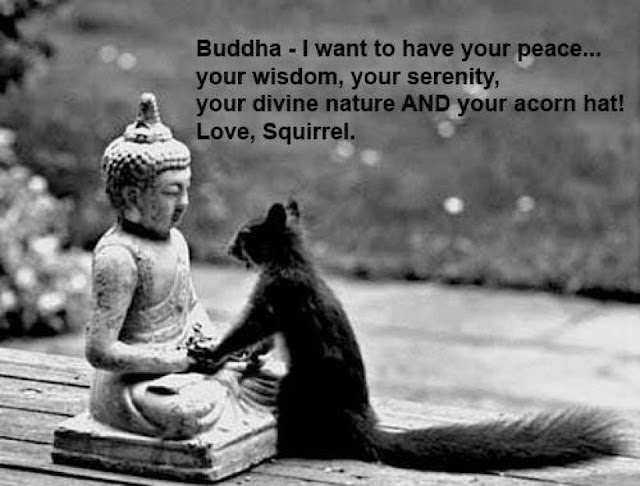 Spritely Spirited: A Squirrel's Prayer