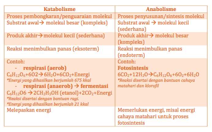 ILoveBiology: Metabolisme