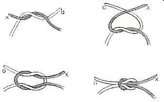 8 simpul dasar ~ Mas Ul