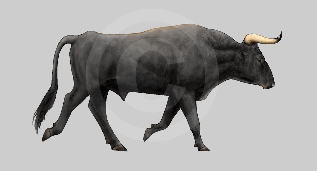 Aurochs