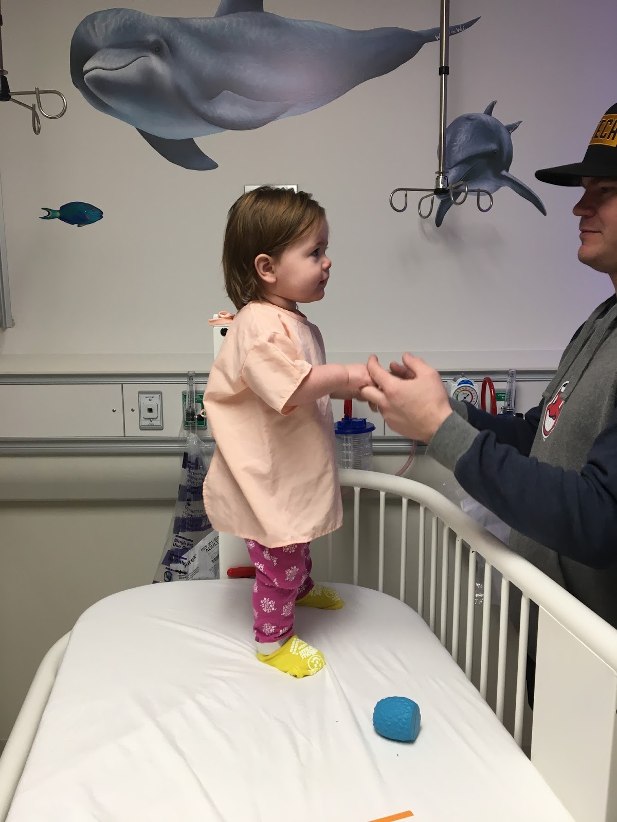 BABY KAUFMAN ADVENTURES