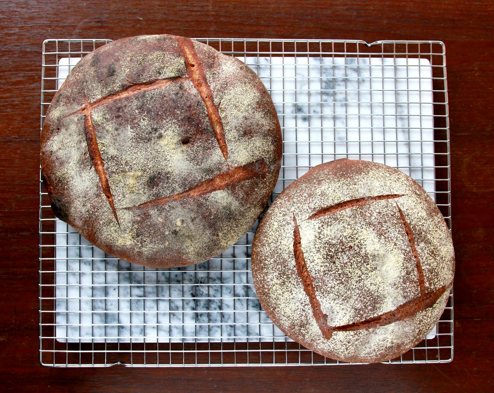 In Cookie Haven: Homemade Natural Sourdough Starter from Organic Whole ...