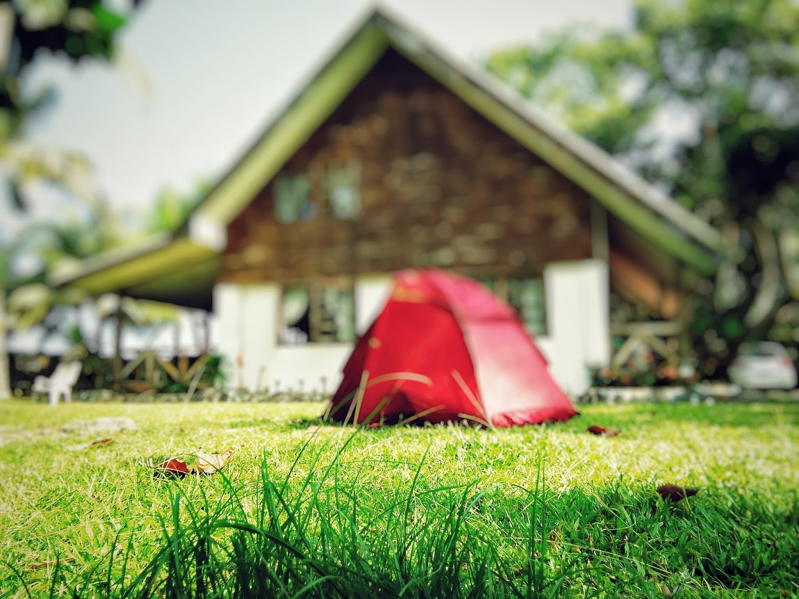Camp On Your Frontyard