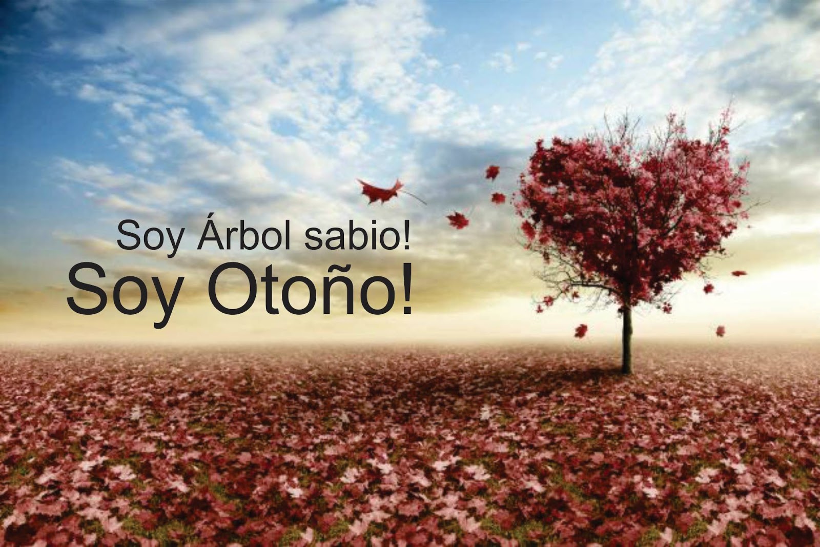Soy árbol sabio! Soy Otoño! ~ Holístico y Viral