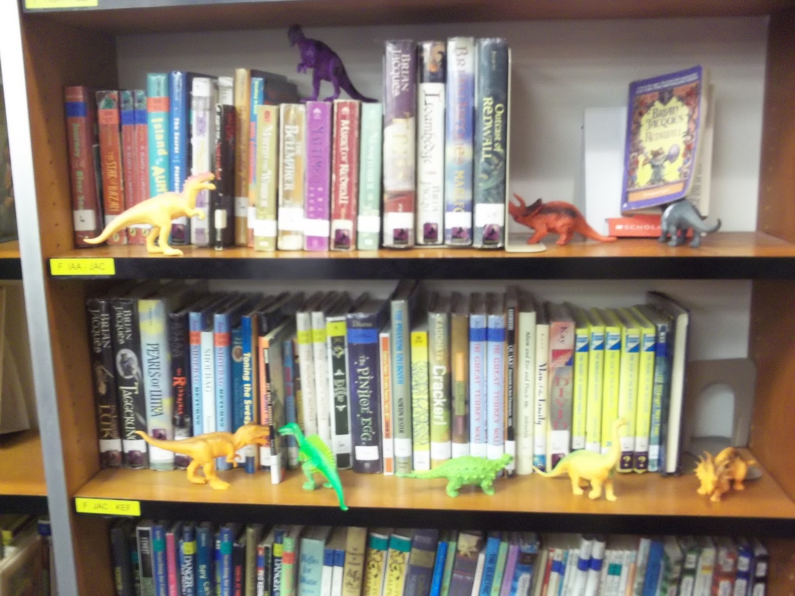 Sherwood Elementary School Library: What the Dinosaurs Did in the Library