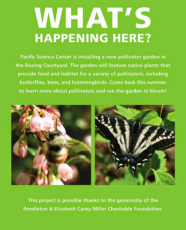 Pacific Science Center Life Sciences: New Pollinator Garden at Pacific ...