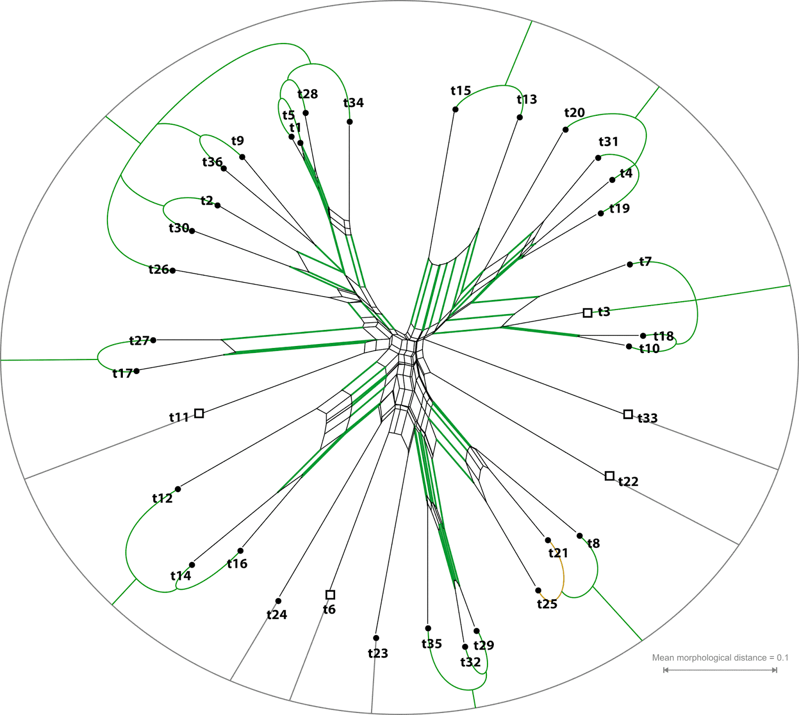 The Genealogical World of Phylogenetic Networks: Summarizing non ...