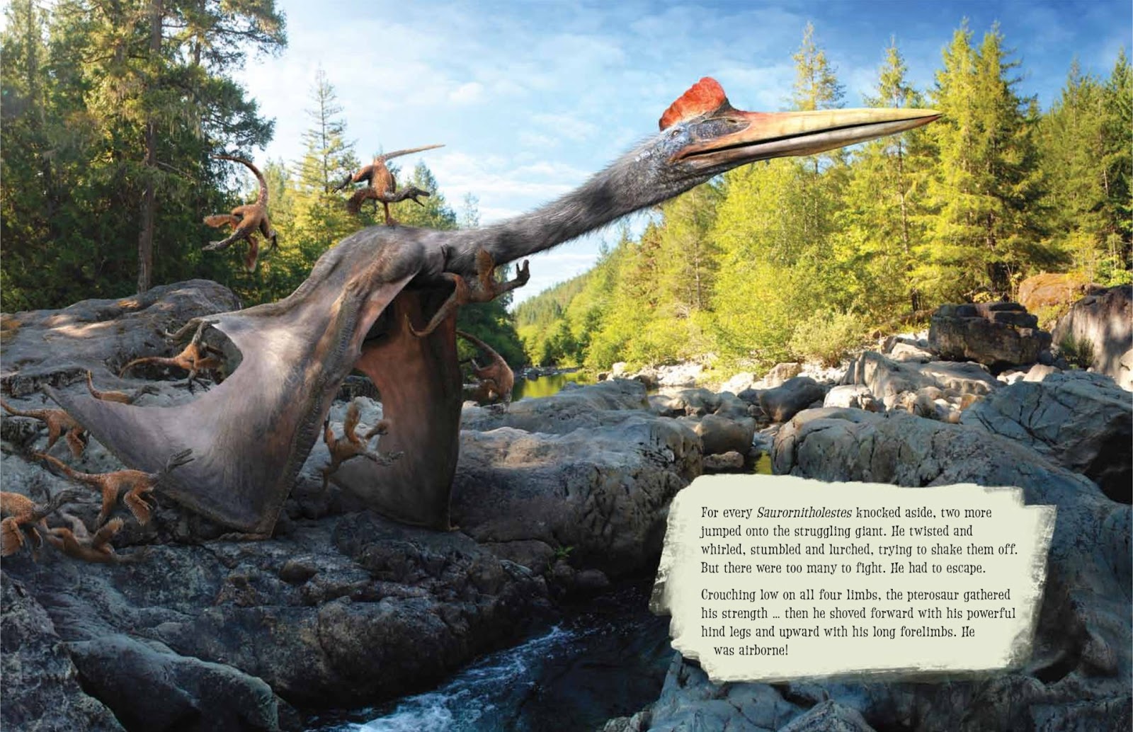 Pterosaur.net Blog: Pterosaur books to know and love, part 3: Pterosaur ...