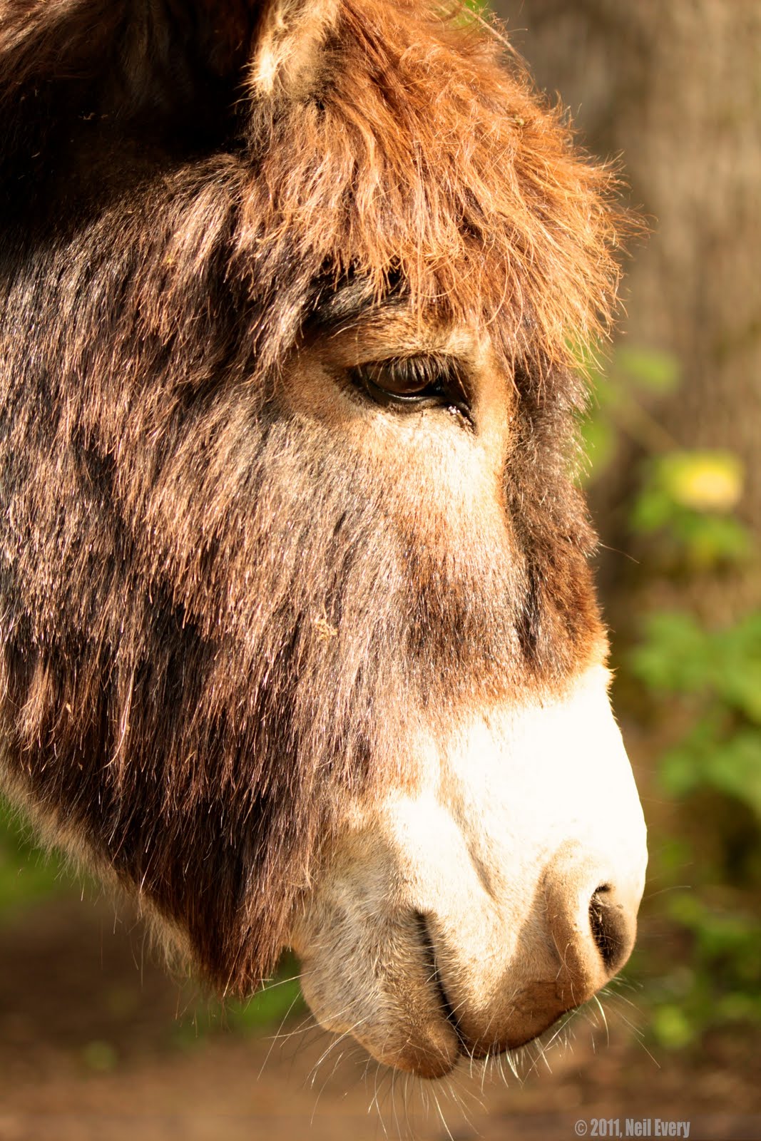 Neil Every: WEEK 30 & 31: On Safari! Part II