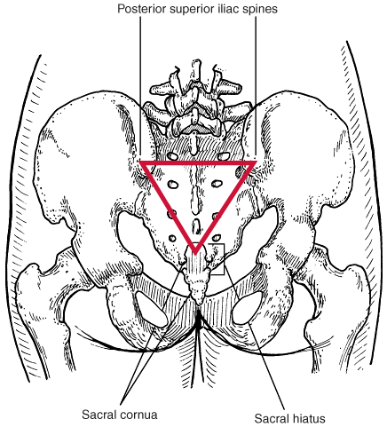 Reference Fiesta! : Female torso front