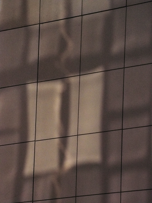 Colin Blogs: Serendipitous Art: Reflected Window Light (February 18, 2016)