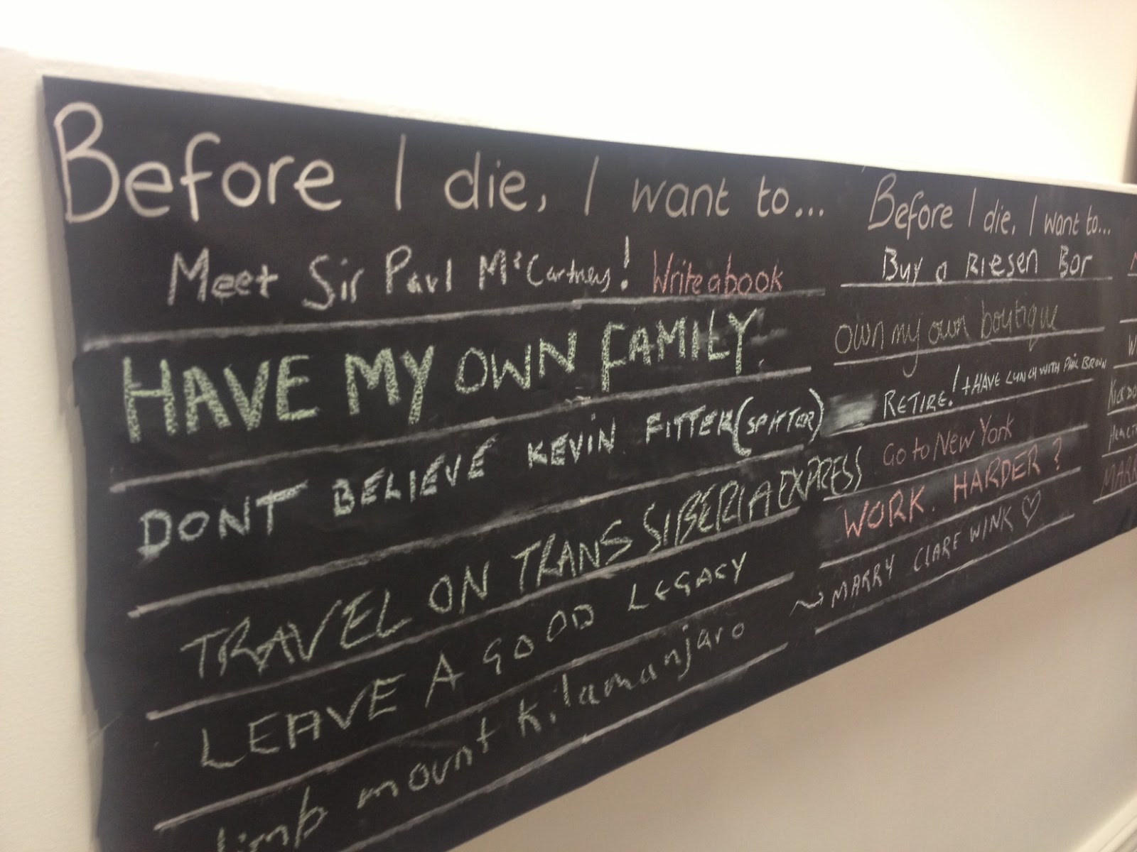 The Bucket Project: Before I Die, I Want To...