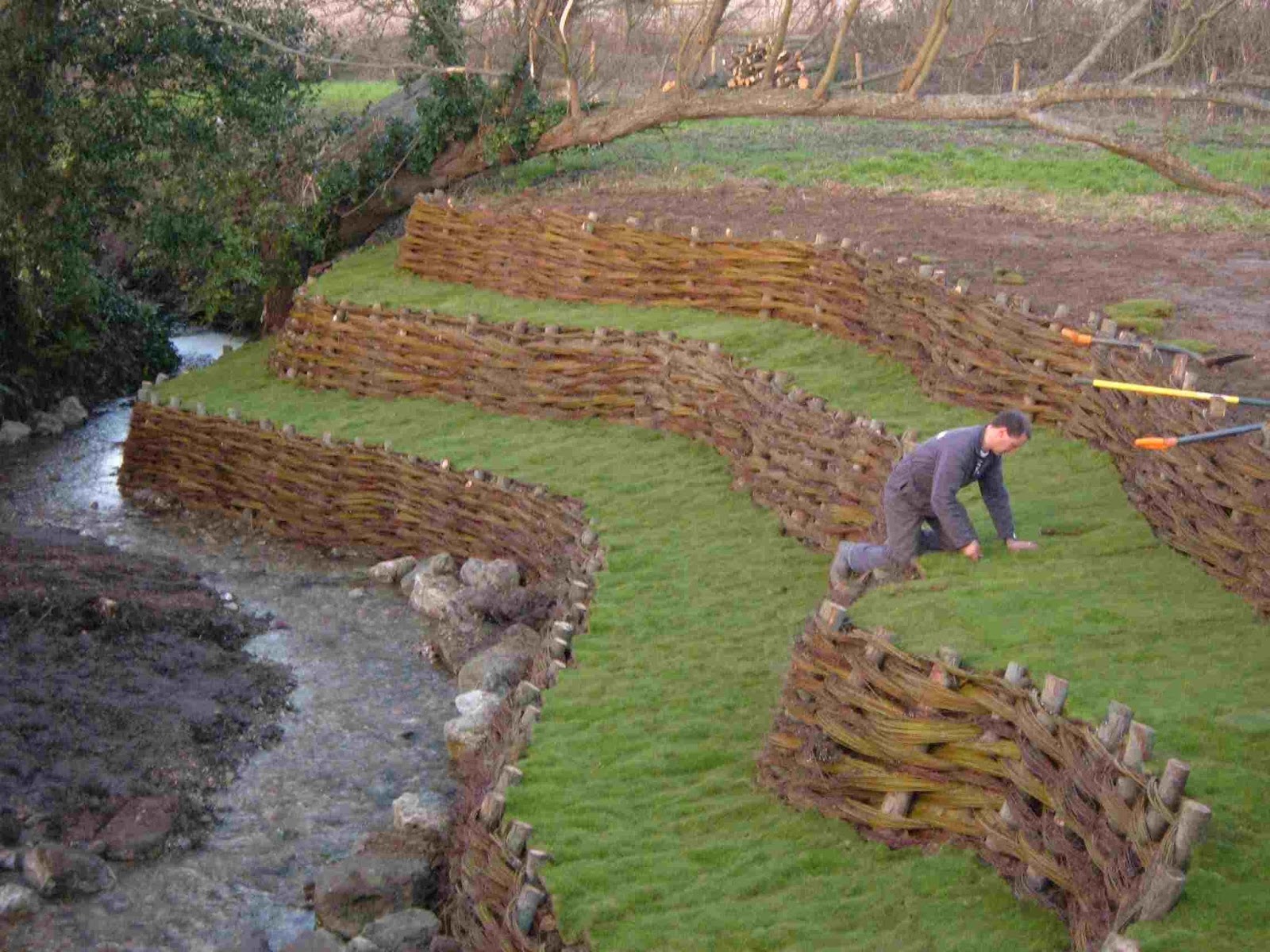 Treading Lightly: Walls in the Willows - a renewable construction material
