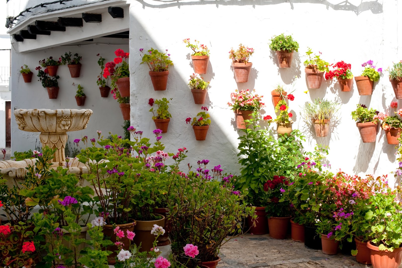 Vejer de la Frontera day by day: : Vejer's patio competition - photos ...
