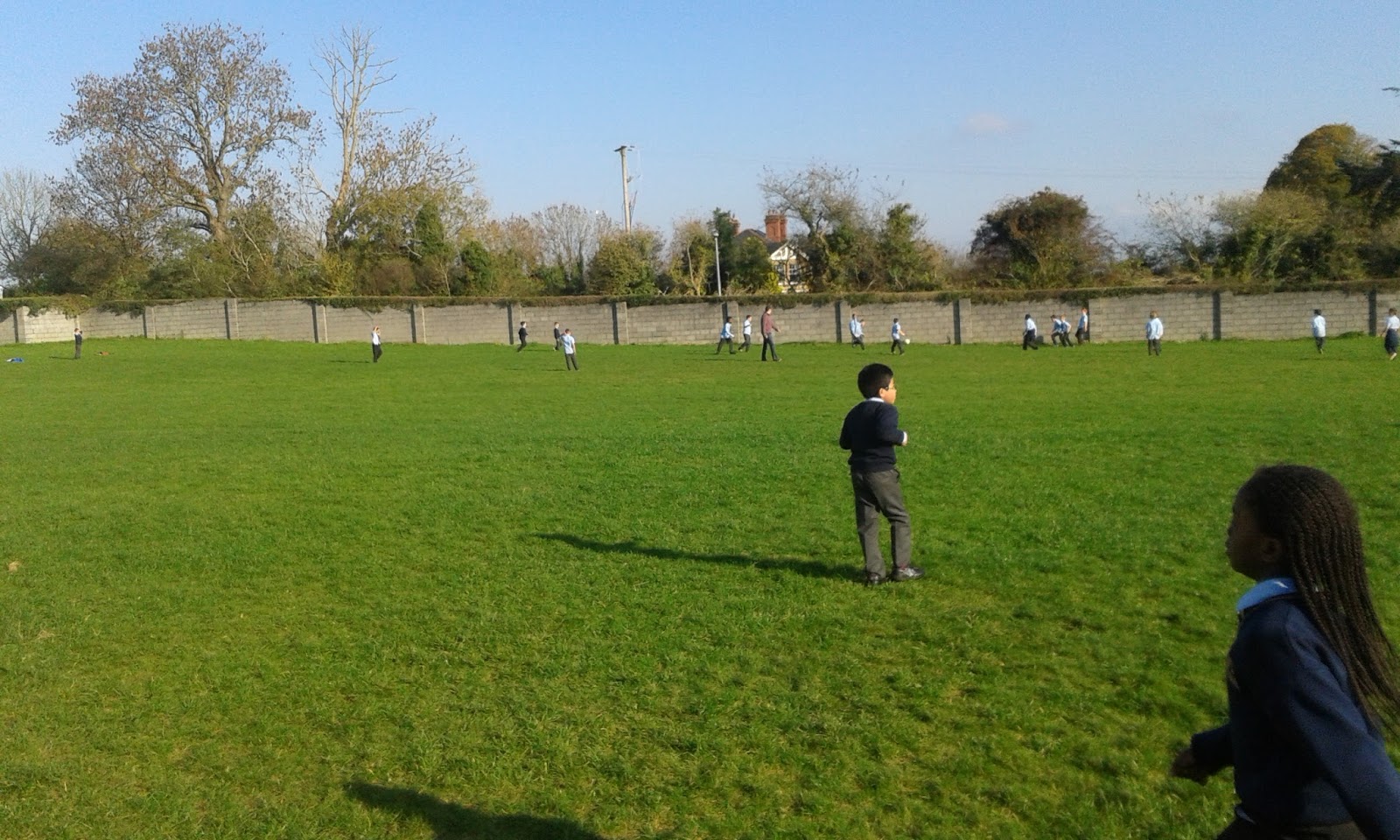 Patrickswell N.S. Online: November 2015