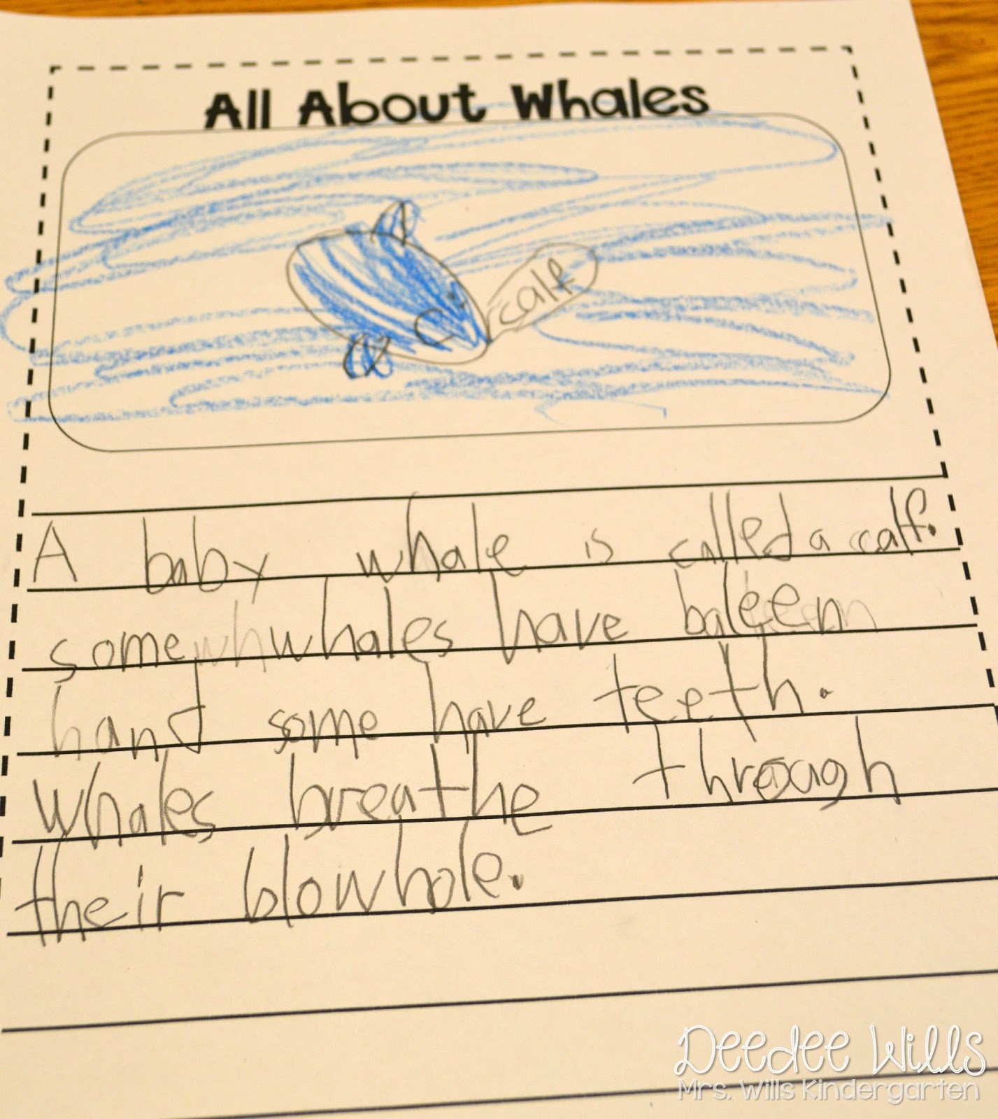 Ocean Week Lesson Plans for Kindergarten & 1st