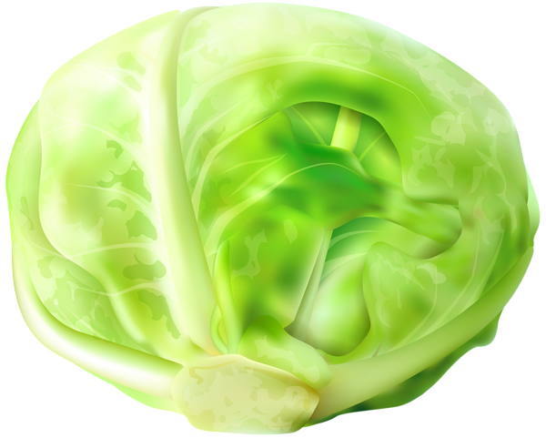 ® Gifs y Fondos Paz enla Tormenta ®: IMÁGENES DE CABBAGE O REPOLLO