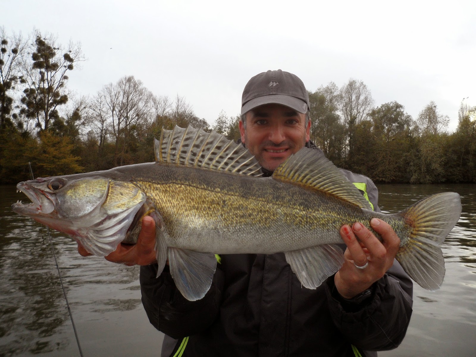 Pêche du carnassier en Seine: Record sandre pour Romain.