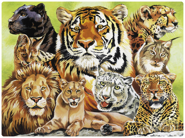 Fotos de grandes felinos salvajes - Imagui