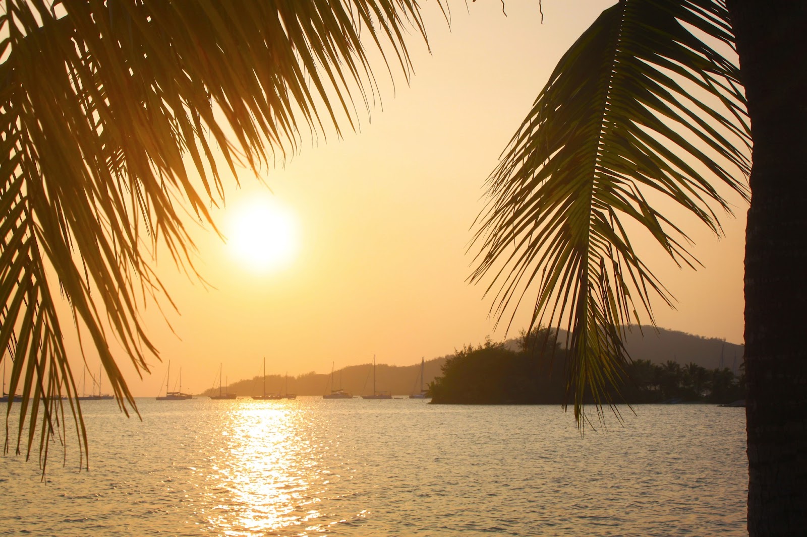 KenKen Photoblog: Fiji Gold